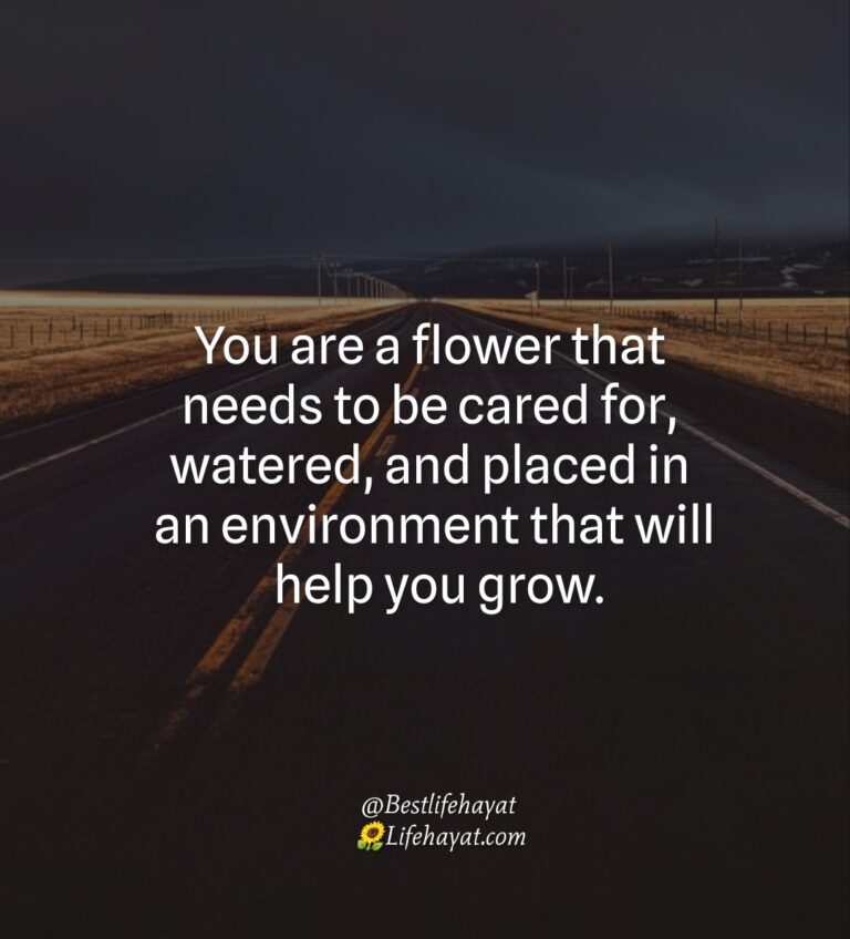 50 Motivational Quotes On Personal Growth And Development - Best Life Hayat